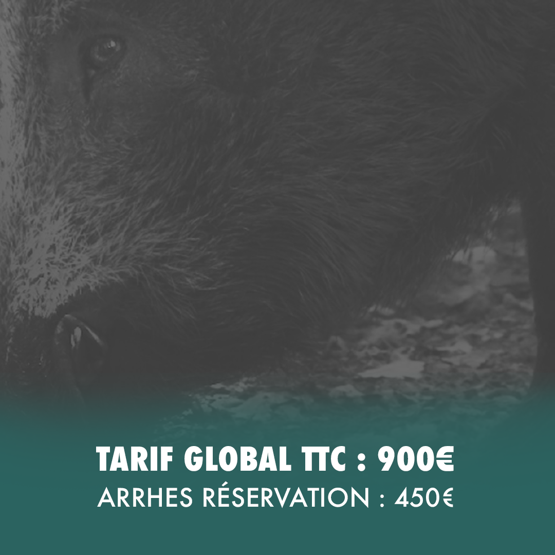 Rapprocher / créance - Pins de l'Aumônerie